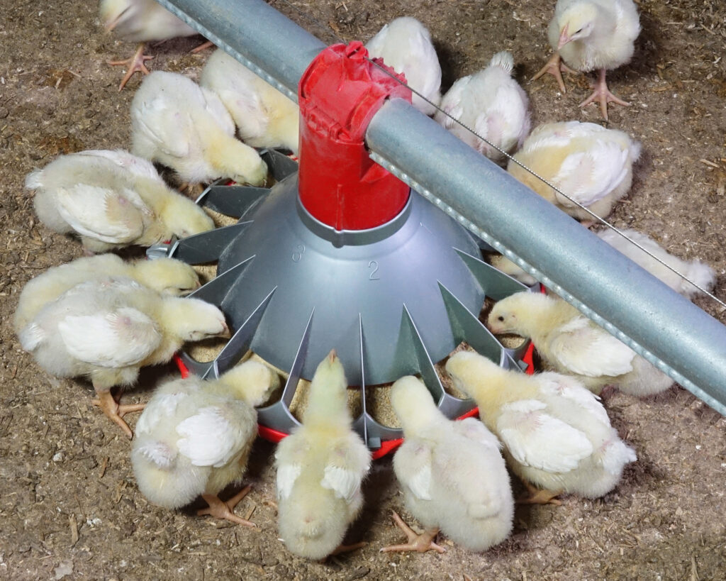 Chore-Time at IPPE 2024 - Chore-Time