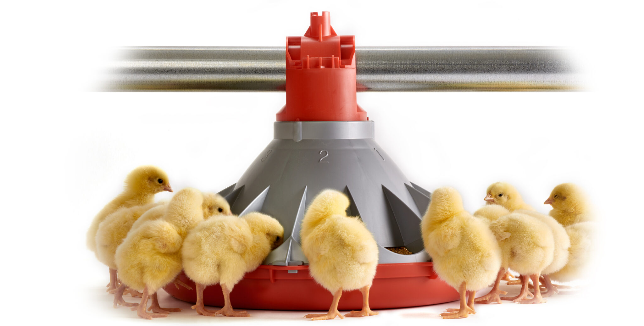 Chore-Time at IPPE 2023 - Chore-Time